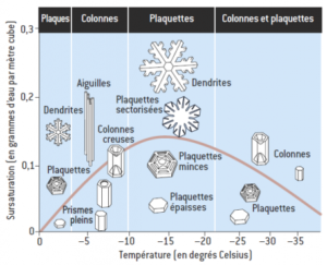 Les flocons de neige - Parlons peu parlons Science